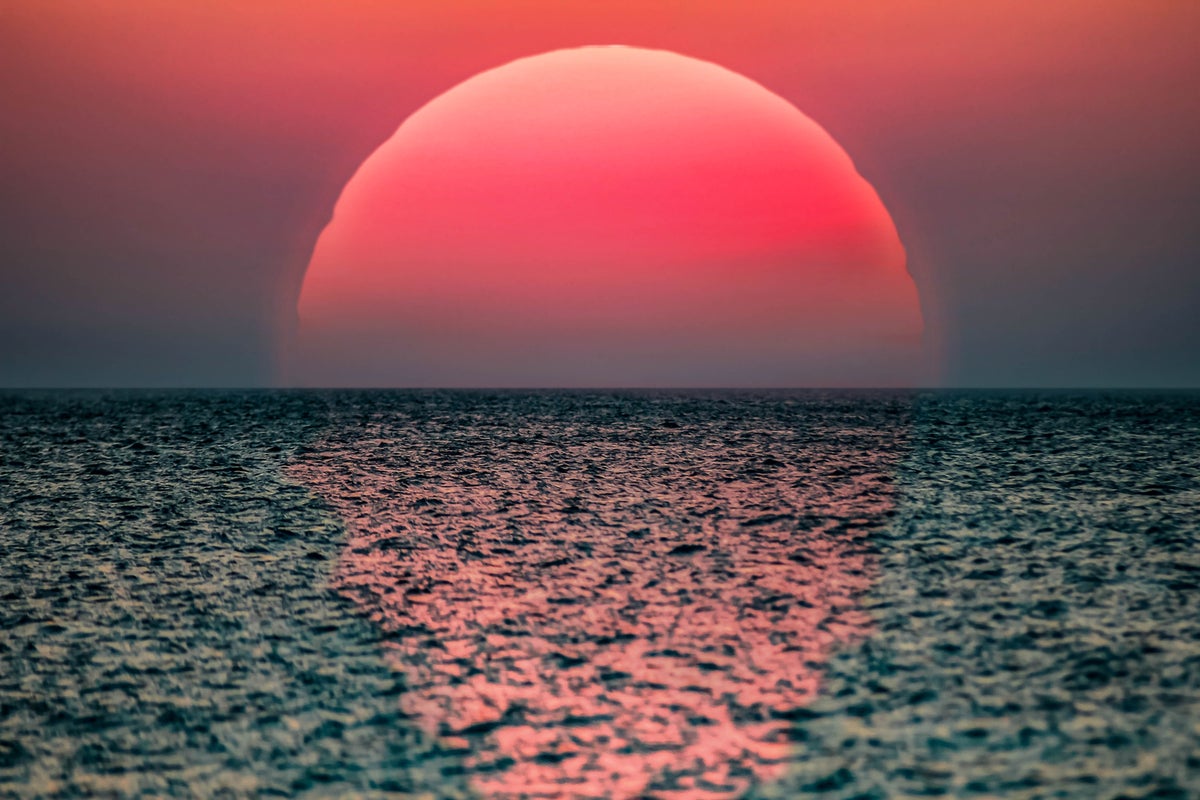 A Heart-rending Scene | Scientific American