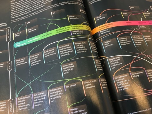Visualizing Sex As A Spectrum Scientific American Blog Network
