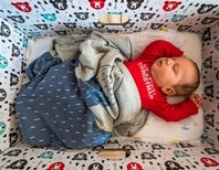 Stories by Ben Wiegand News and Research - Scientific American