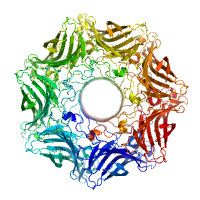 The Curious Wavefunction - Scientific American Blog Network