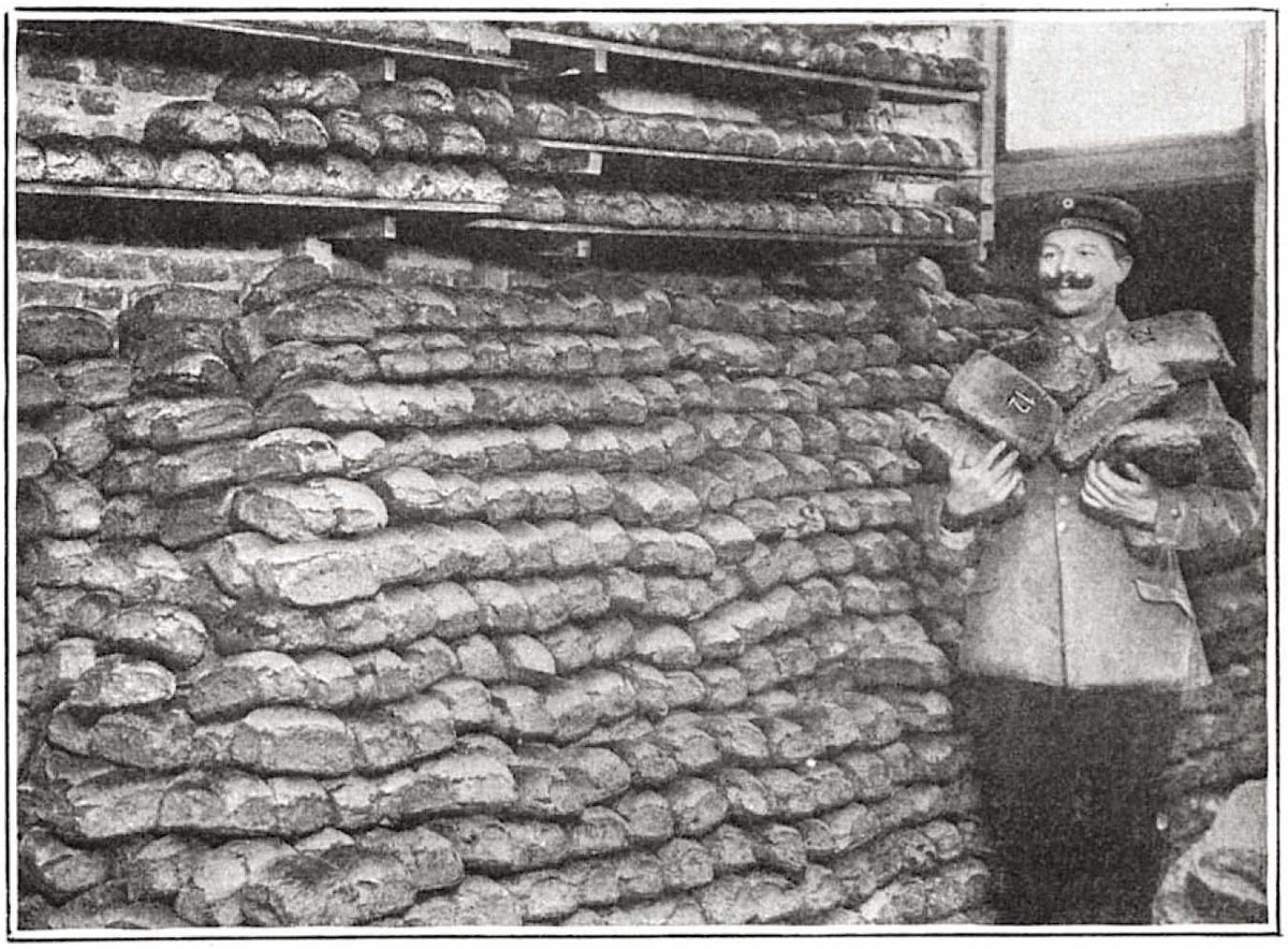 Starvation and Propaganda as Weapons of War, 1917 | Scientific American