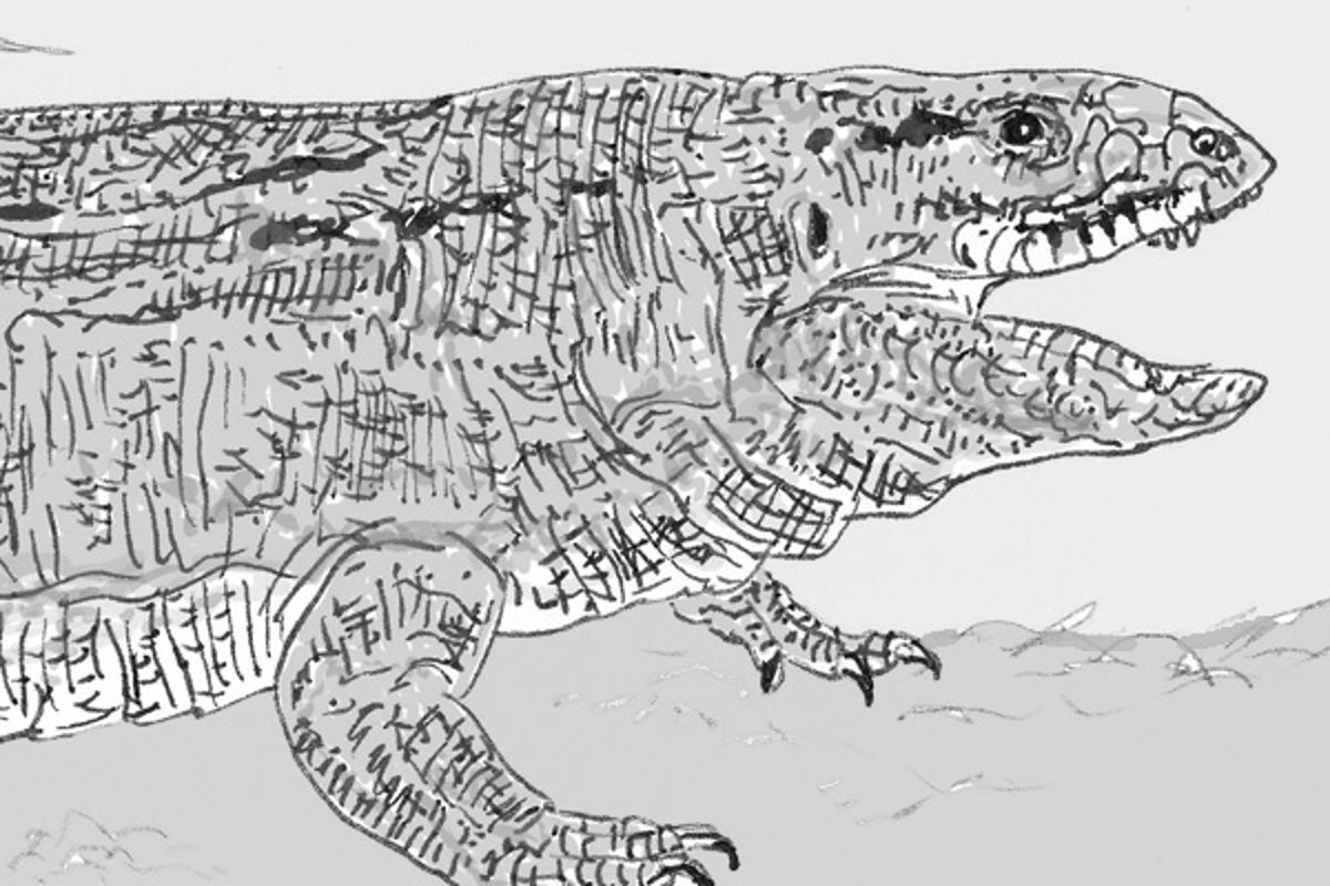 The Borioteiioids | Scientific American