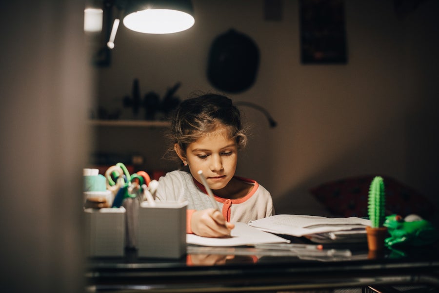 To the Angry Grown-Ups in My Town | Scientific American