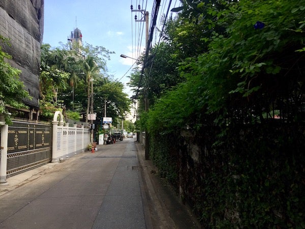 Hedges: This Week in Low-Tech Solutions for Climate Change - Scientific ...