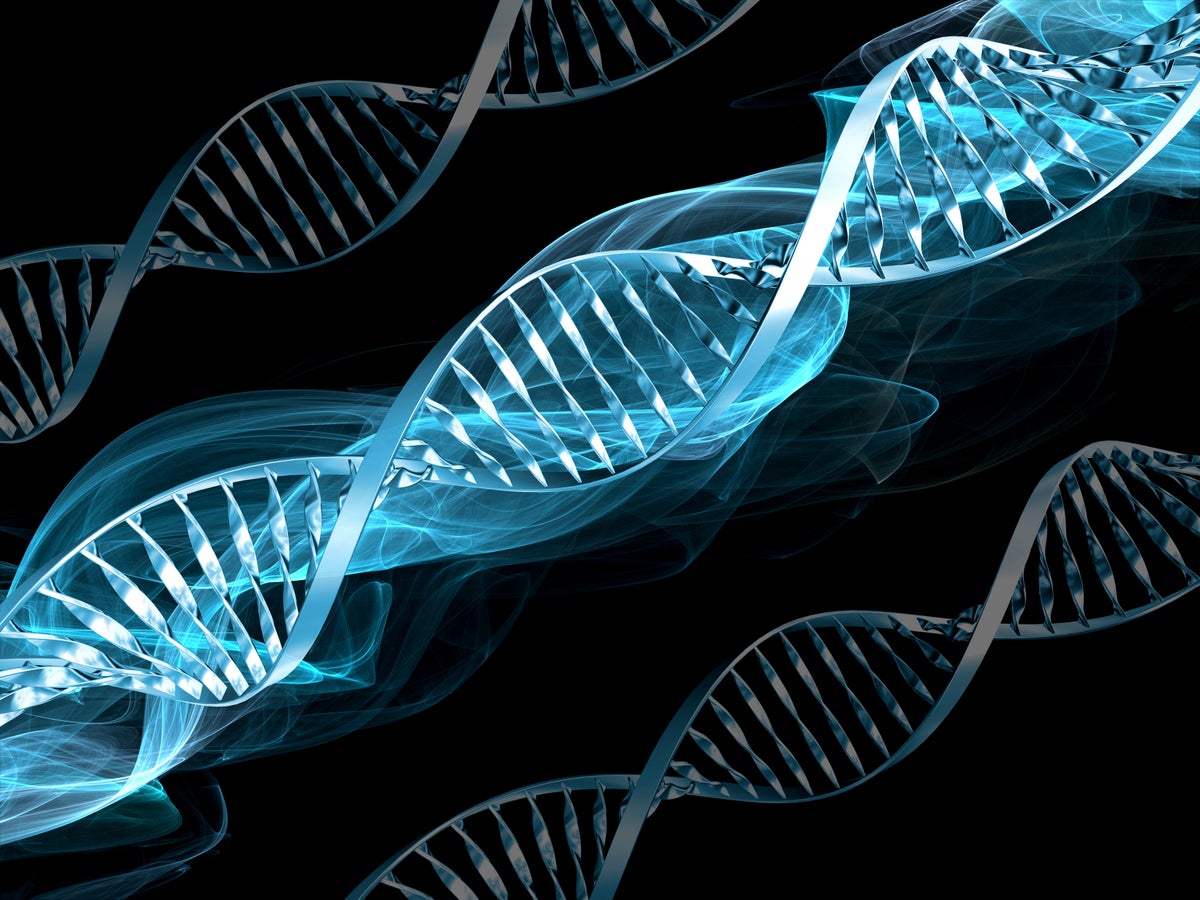 Dna Real Picture