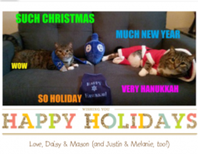 Stories by Melanie Tannenbaum - Scientific American