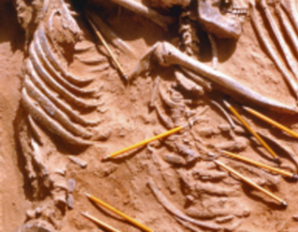 New Study of Prehistoric Skeletons Undermines Claim That War Has Deep ...