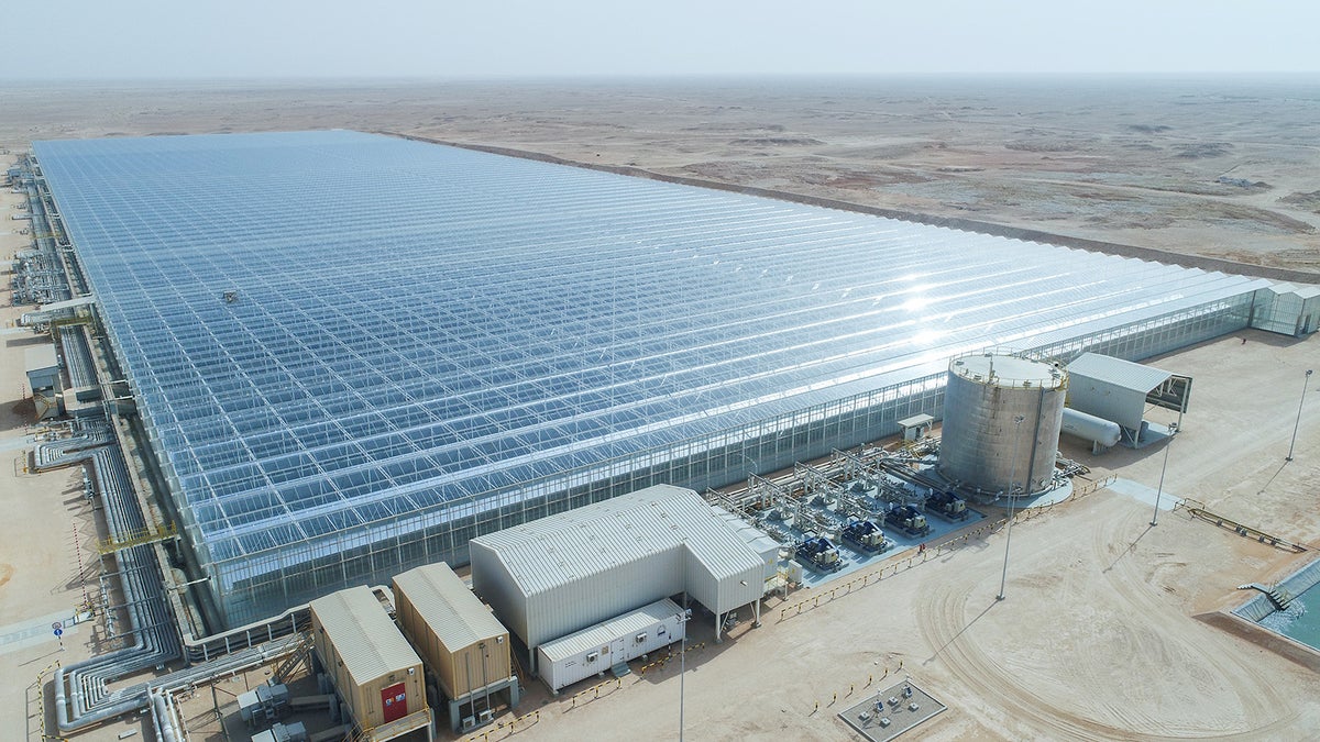 Solar Energy Isn’t Just for Electricity | Scientific American