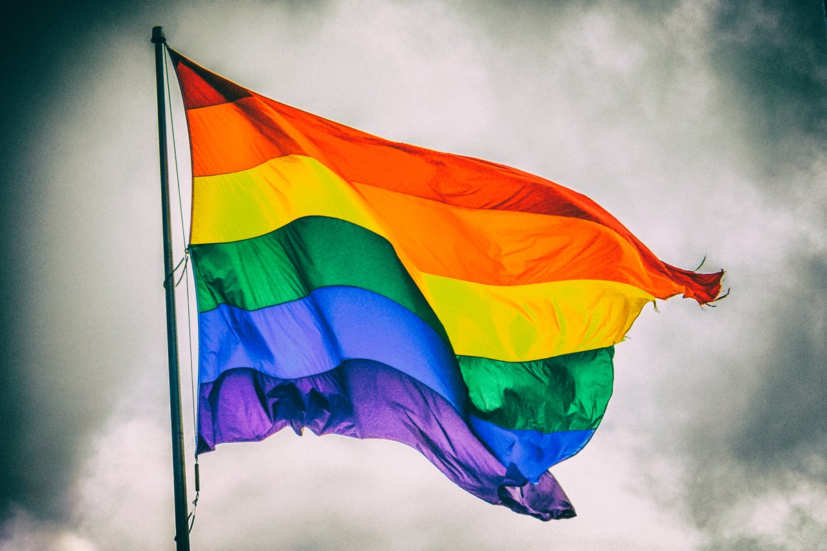 Is Homosexuality a Choice? | Scientific American