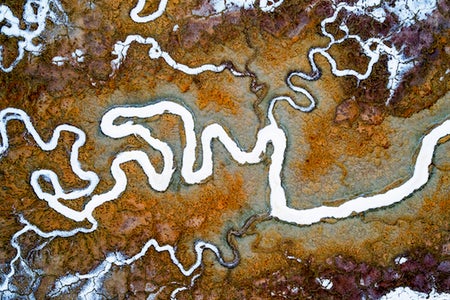 Stories by Charlie Shobe | Scientific American