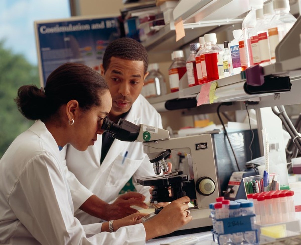 Korean Cloned Human Cells Were Product of "Virgin Birth" | Scientific ...