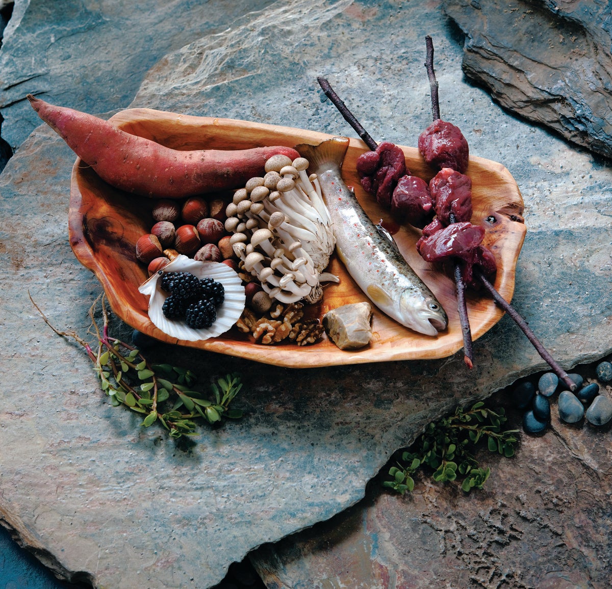 The "True" Human Diet | Scientific American