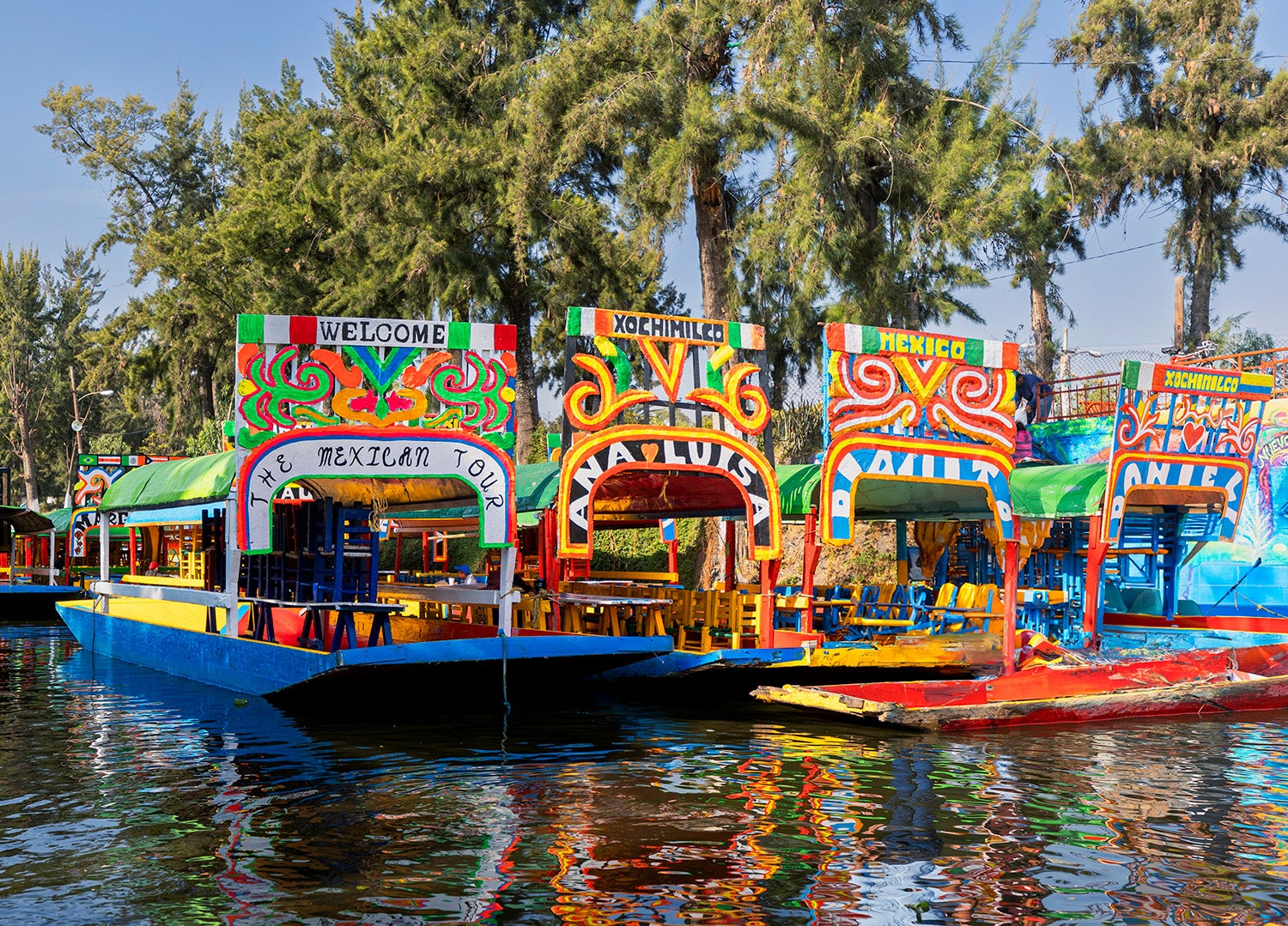 Mexico: The Monarch Migration Experience | Scientific American
