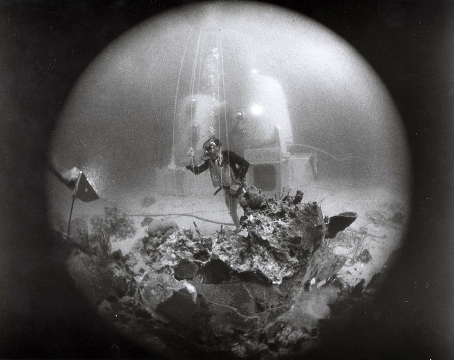 Aquanauts experience awe-inspiring ‘underview effect’ | Scientific American
