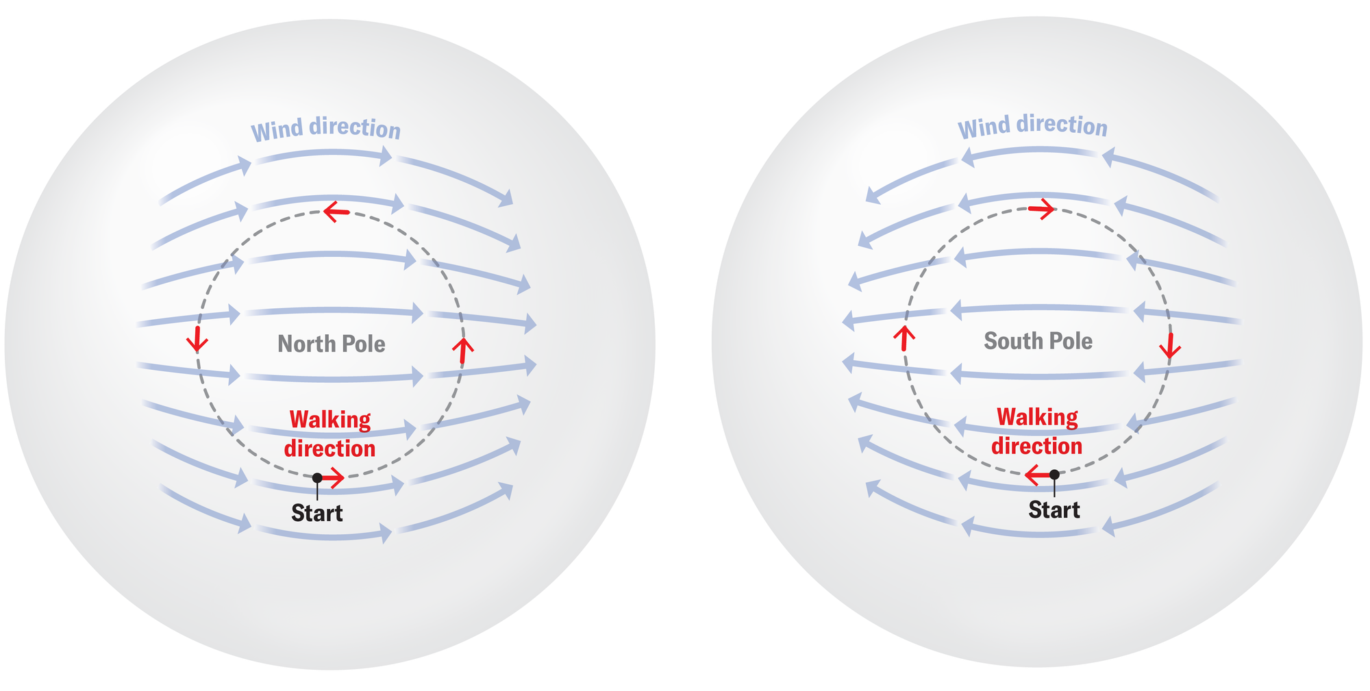 How math's 'hairy ball theorem' could explain bad hair days