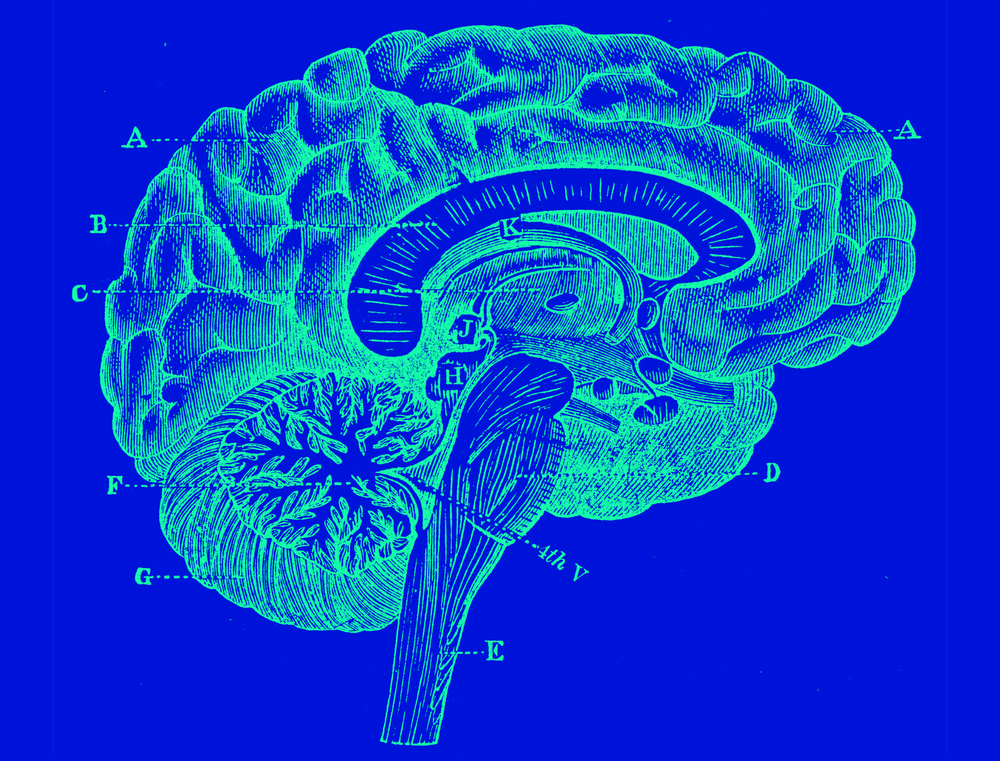 Are the roots of consciousness hidden in the ancient deep brain ...