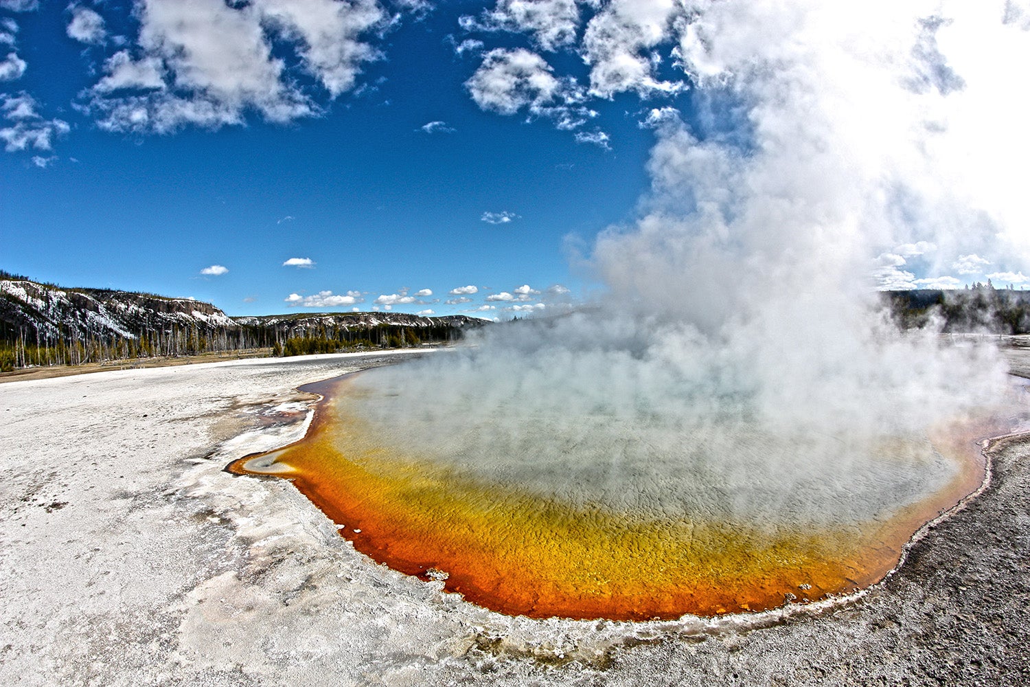 Winter in Yellowstone | Scientific American