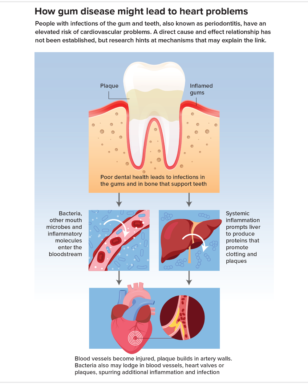 Why Isn't Dental Health Considered Primary Medical Care? | Scientific ...