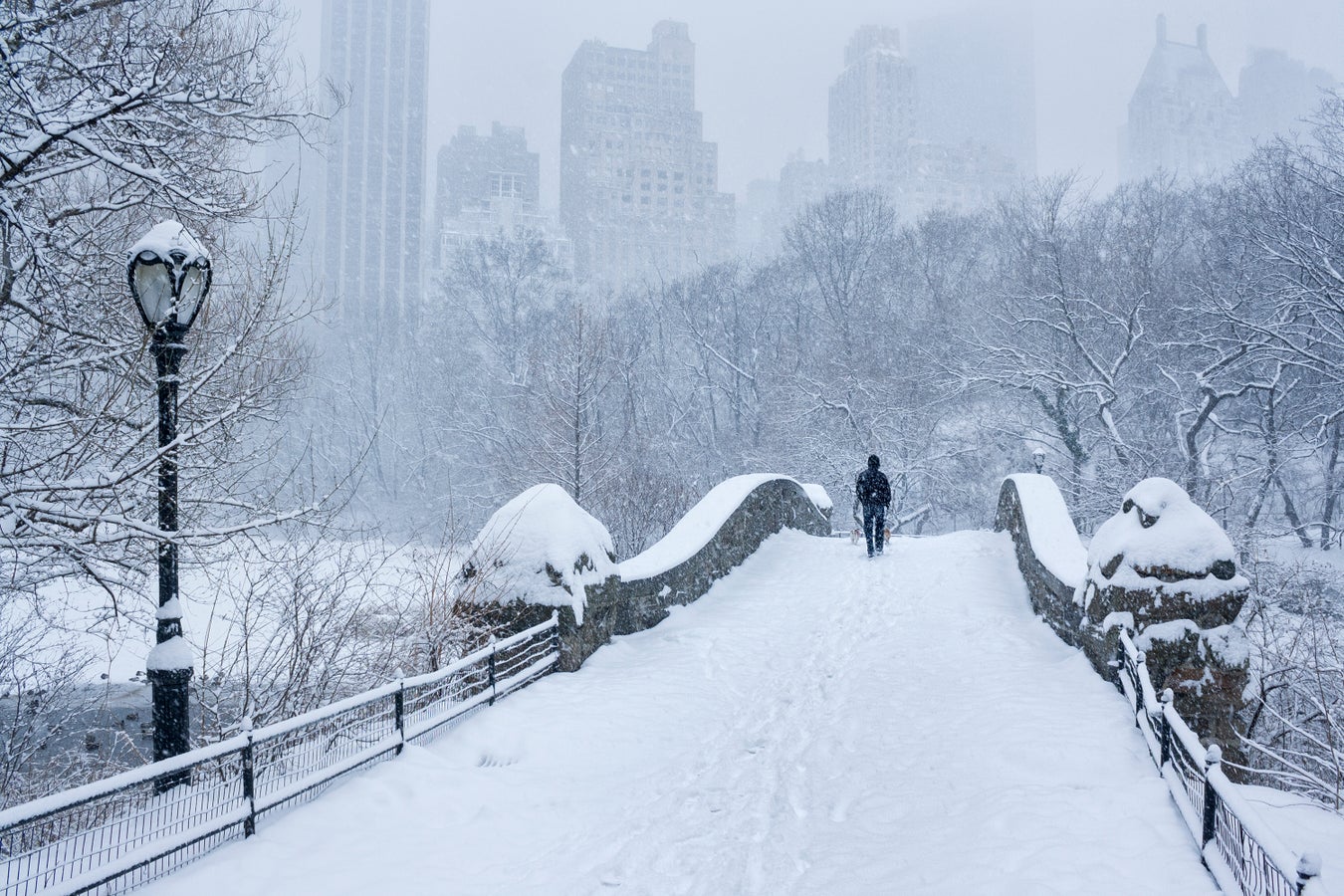 Why Does Snow Bring Childlike Joy? | Scientific American
