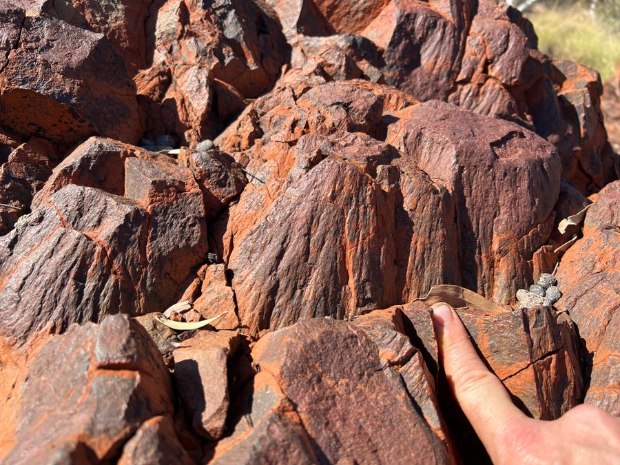 Earth’s Oldest Impact Crater Discovered in Australia | Scientific American