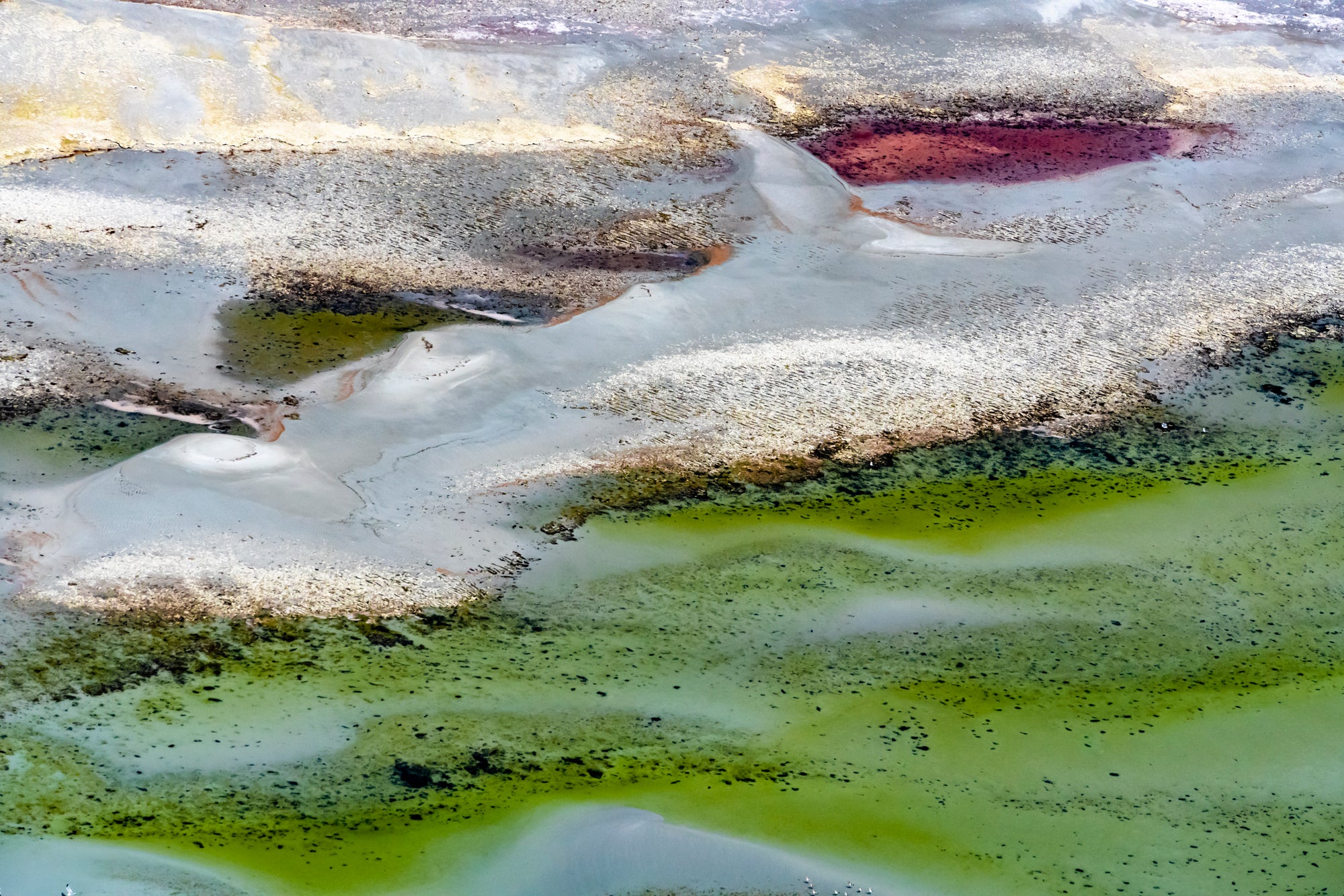 Photography Collection Finds ‘Tragic Beauty’ in Shorelines Marred by ...