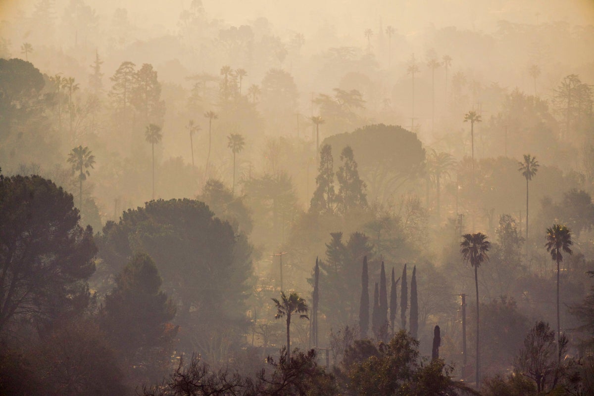 Why Urban Wildfires like L.A.’s Release Such Toxic Smoke | Scientific ...