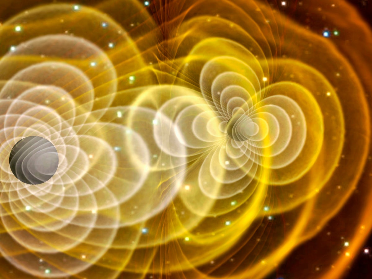 black hole wave function