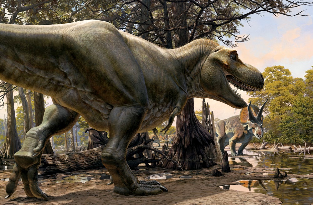 How Did Dinosaurs See, Smell, Hear and Move? | Scientific American