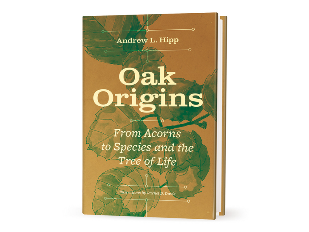 Book Review: How Oak Trees Warn Us about the Limits of Adapting to ...