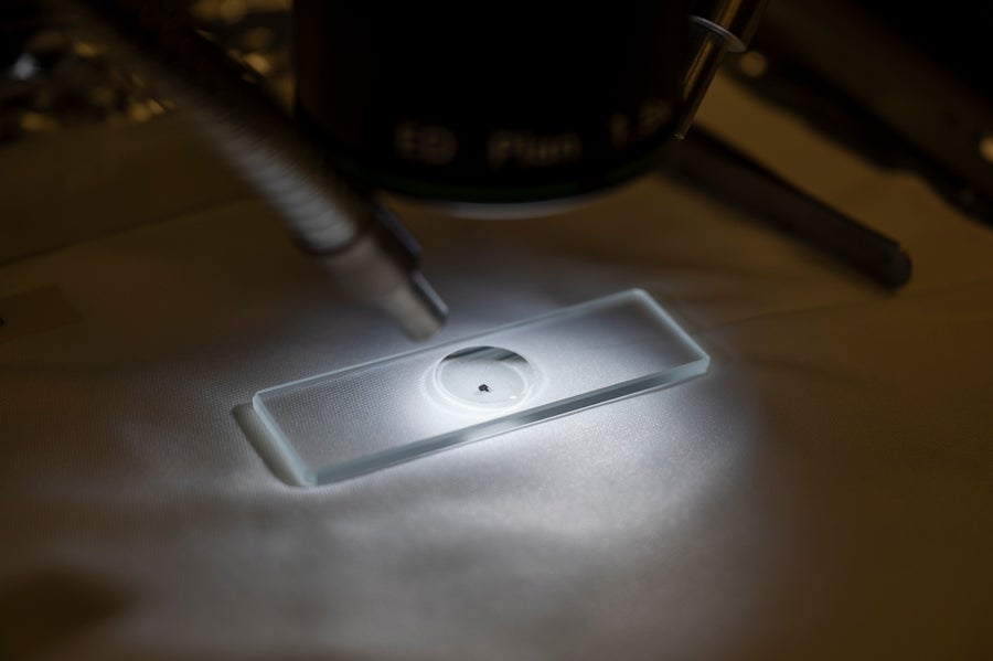 NASA’s OSIRIS-REx Asteroid Sample Is Already Rewriting Solar System ...