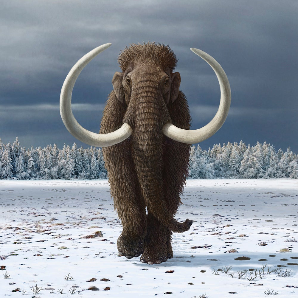Scientists Sequence Bacterial DNA from Germs in Mammoth Teeth ...