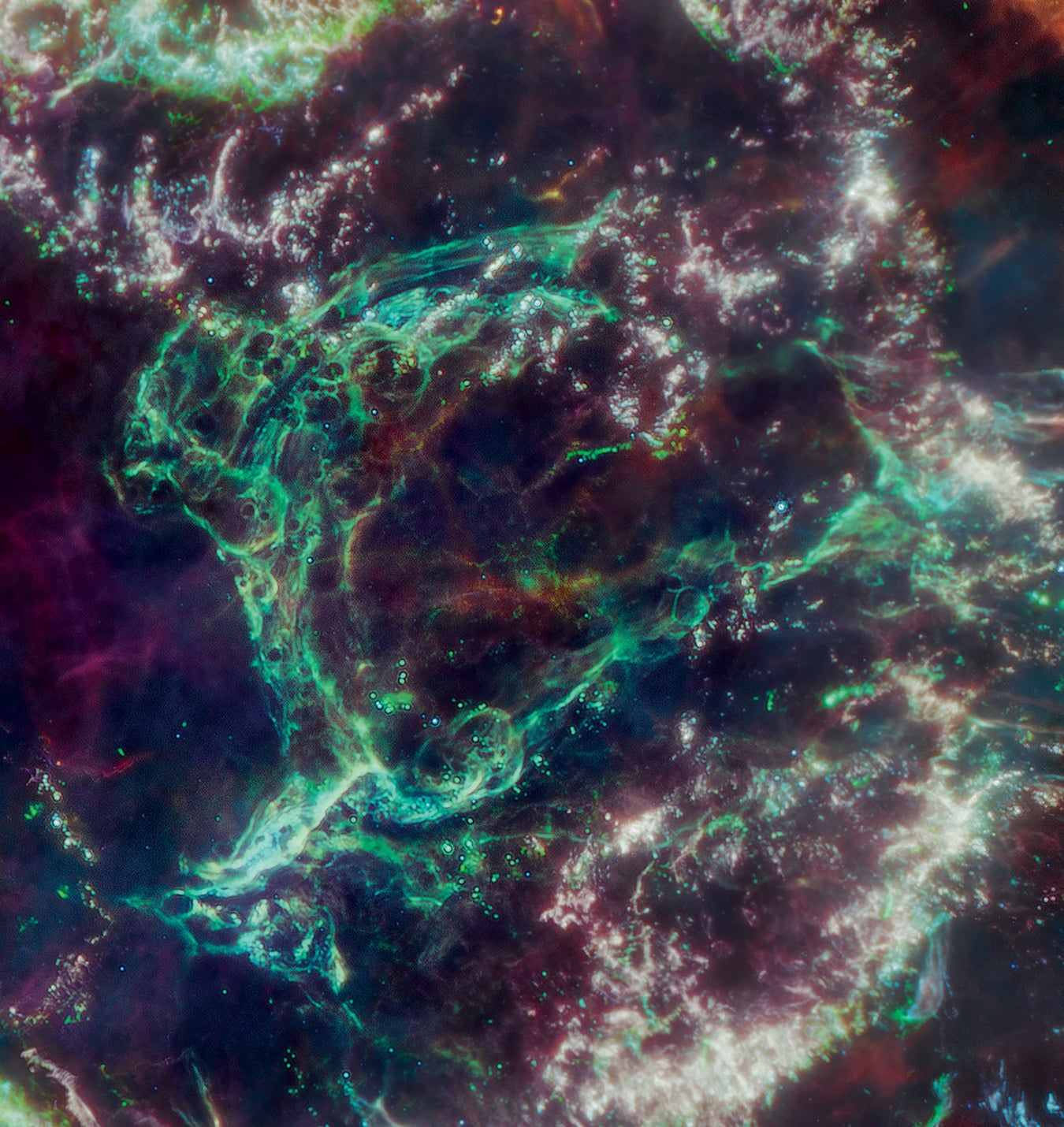 JWST Photos Reveal Bizarre Physics of Supernova Explosions | Scientific ...