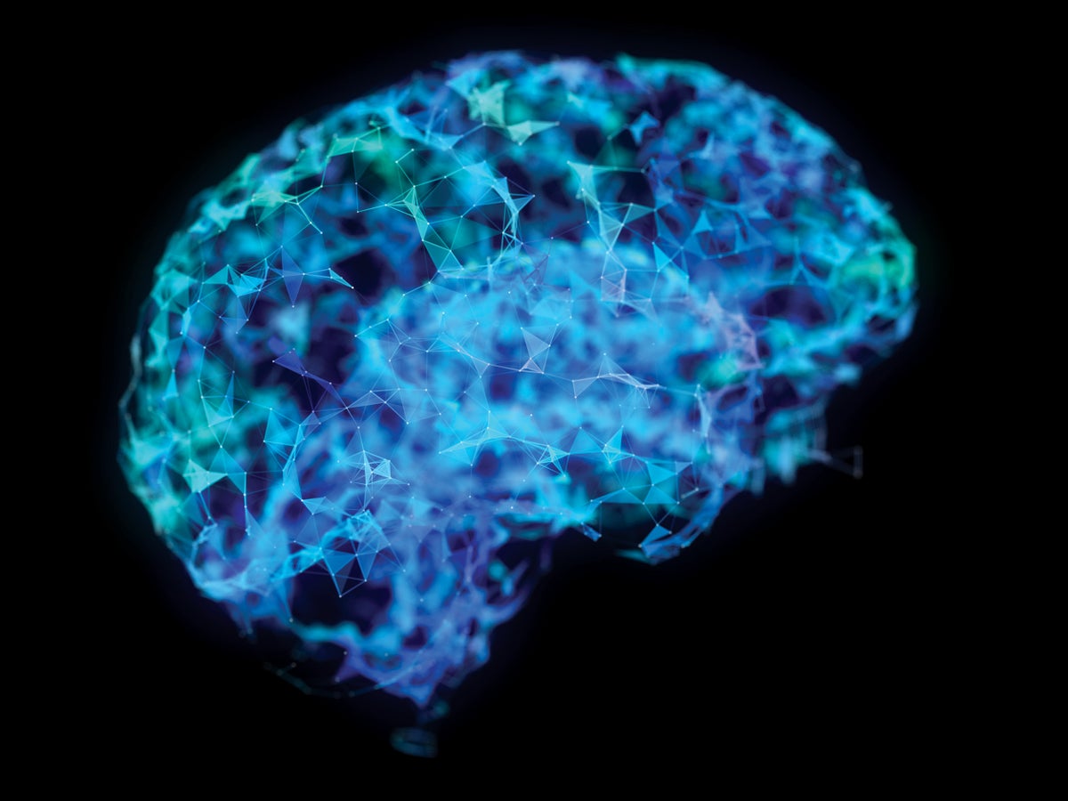 A Brain Scanner Combined with an AI Language Model Can Provide a ...