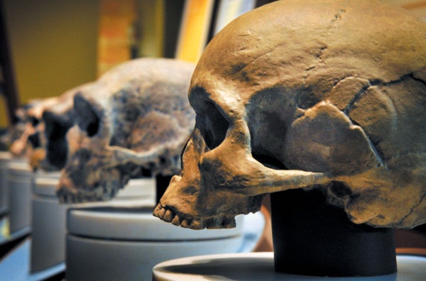 To Follow the Real Early Human Diet, Eat Everything | Scientific American