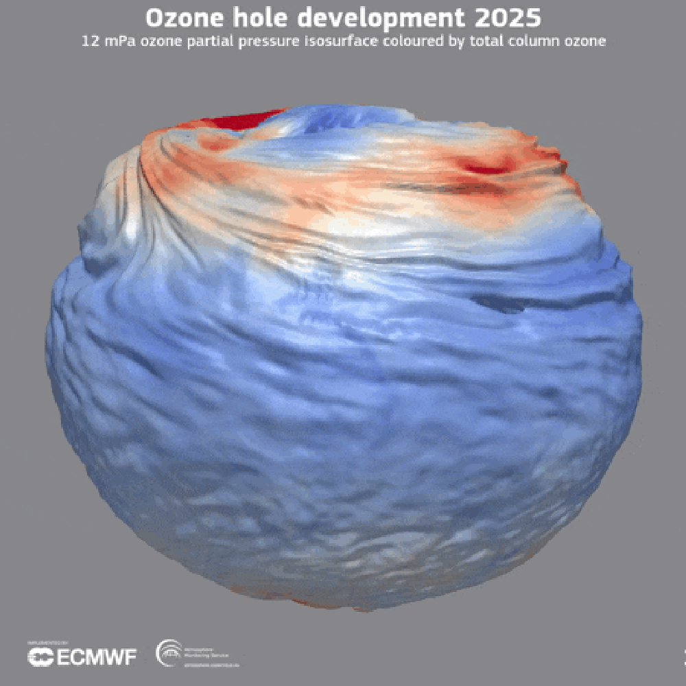 ozone layer fixed itself