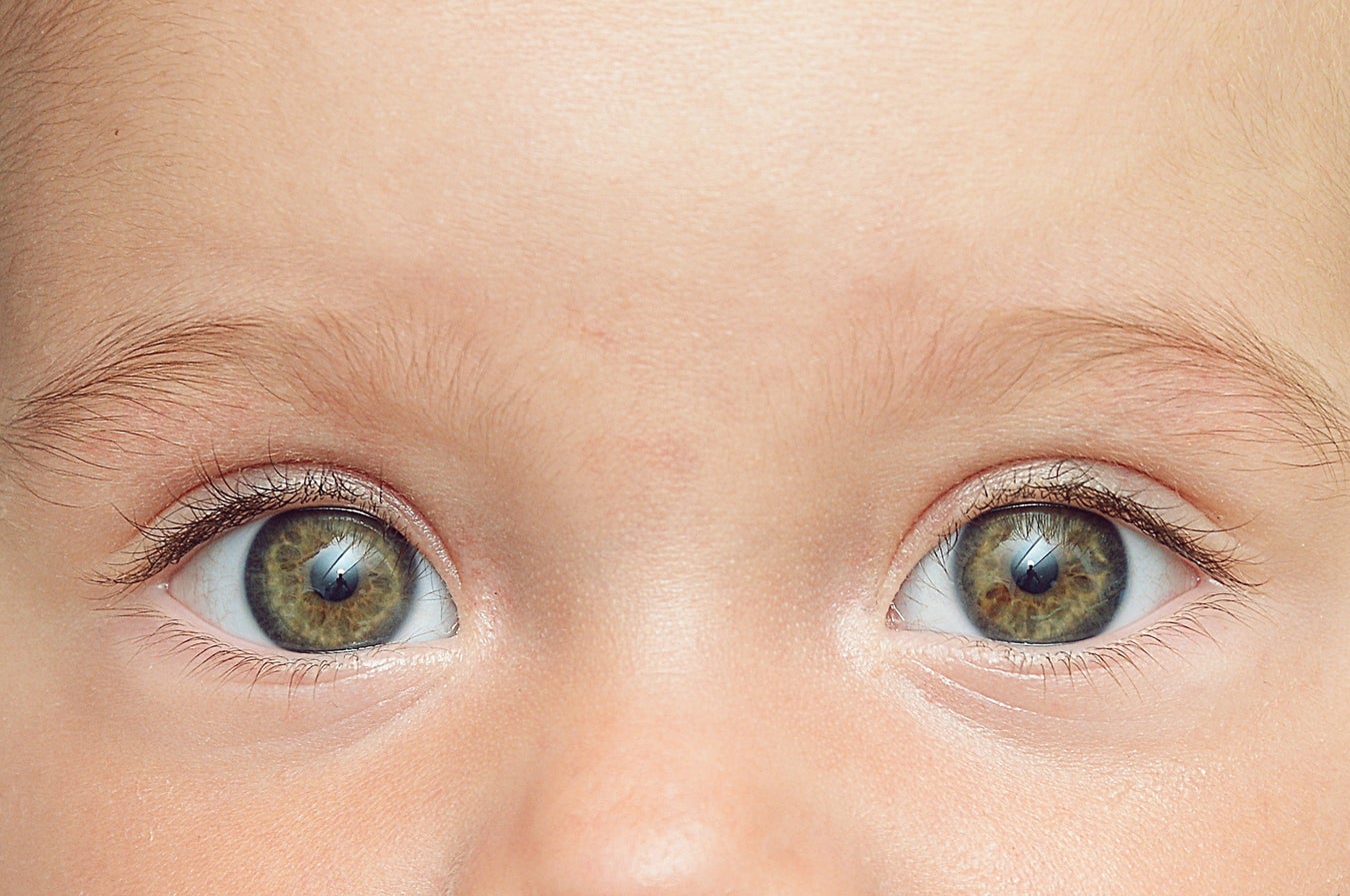 When Do Babies Become Conscious? | Scientific American