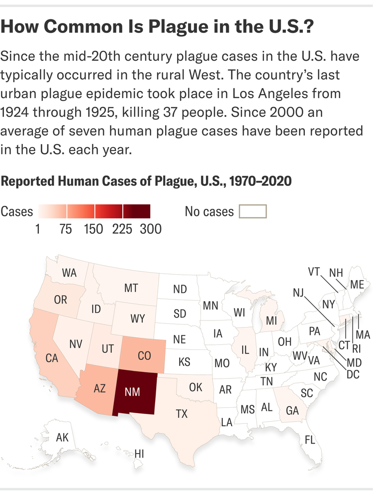 Plague Still Exists. Here's Where and How It Spreads in the U.S ...