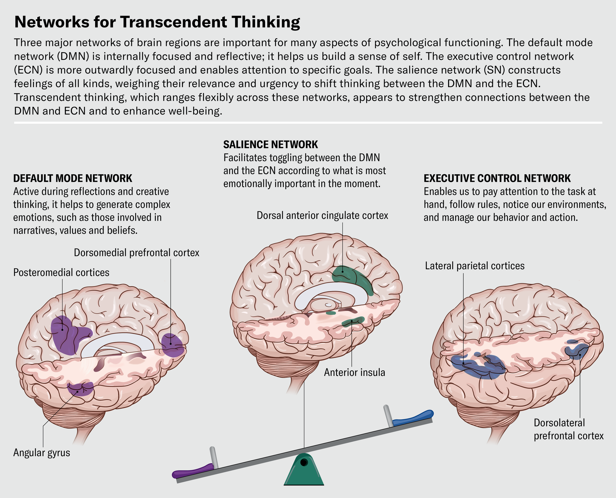 Transcendent Thinking Boosts Teen Brains in Ways That Enhance Life ...