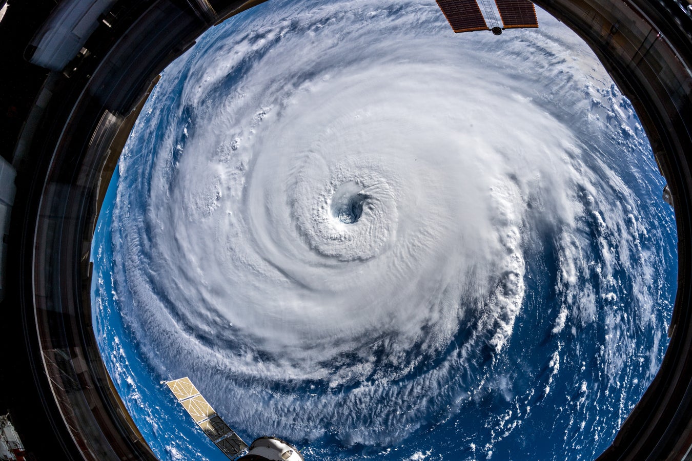 Record-Breaking Ocean Heat Wave Foreshadows a Dangerous Hurricane ...