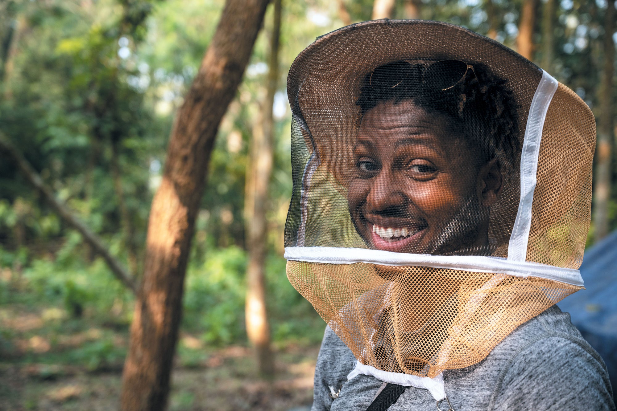 A New Bee Crisis Could Make Your Food Scarce and Expensive | Scientific ...