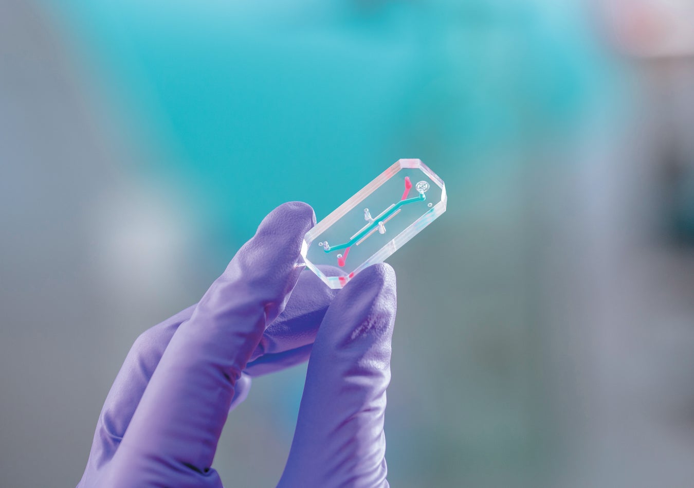 Next-Generation Biotech Is Rendering Some Lab Animals Obsolete ...