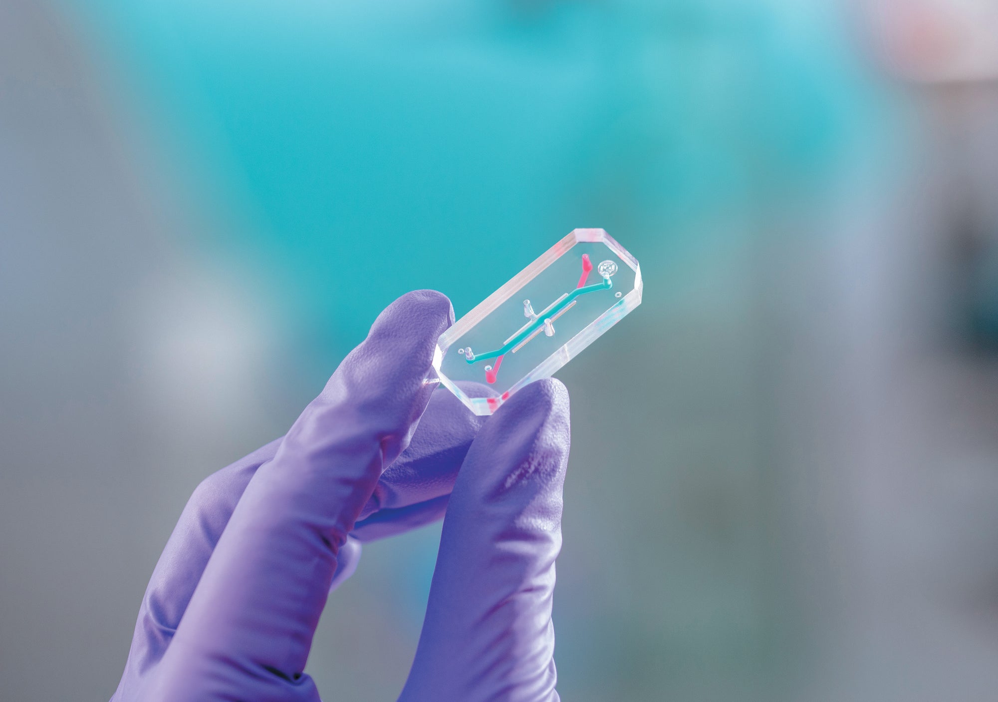 Next-Generation Biotech Is Rendering Some Lab Animals Obsolete ...