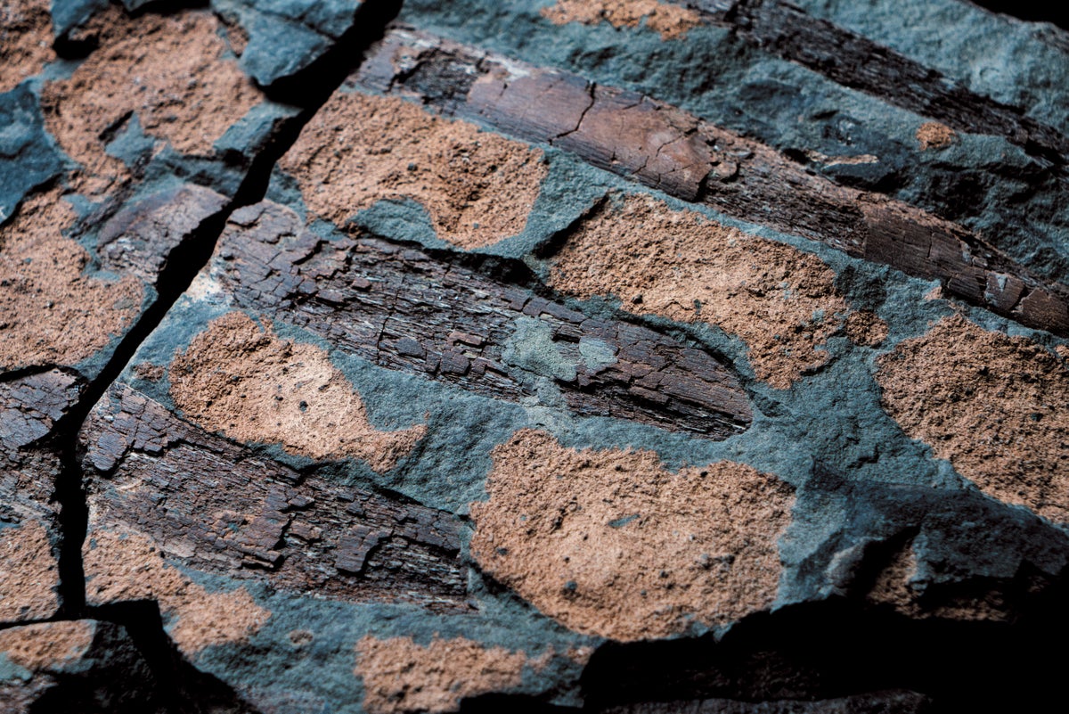 Dinosaur Armor and Weaponry Was Even More Impressive Than Researchers ...