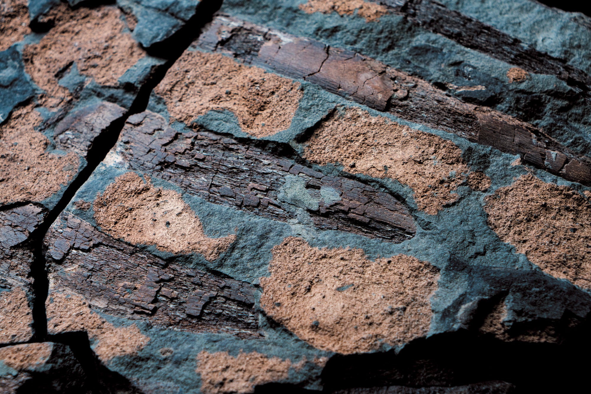 Dinosaur Armor and Weaponry Was Even More Impressive Than Researchers ...