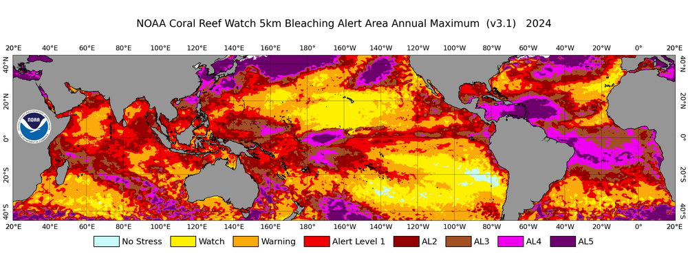 Worst Coral Mass Bleaching on Record Caused By Warming Oceans ...