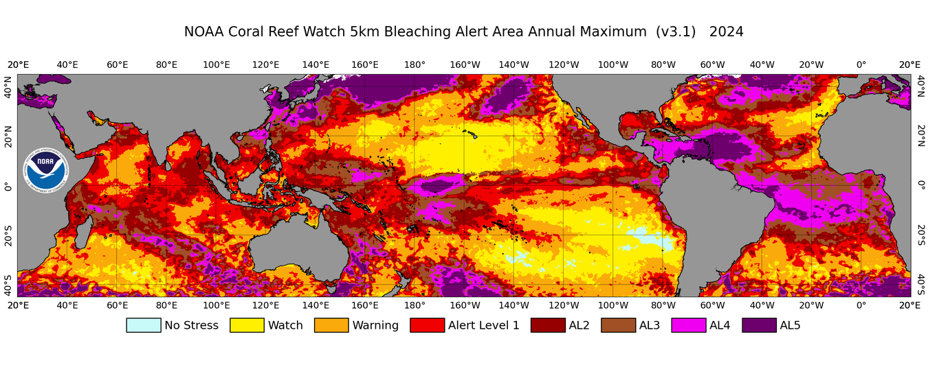 Worst Coral Mass Bleaching on Record Caused By Warming Oceans ...