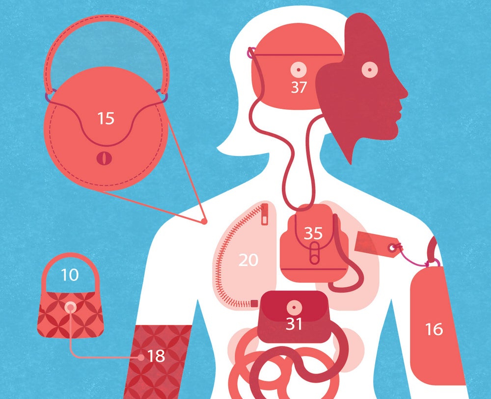 The Human Body Is Bags, Bags and More Bags | Scientific American