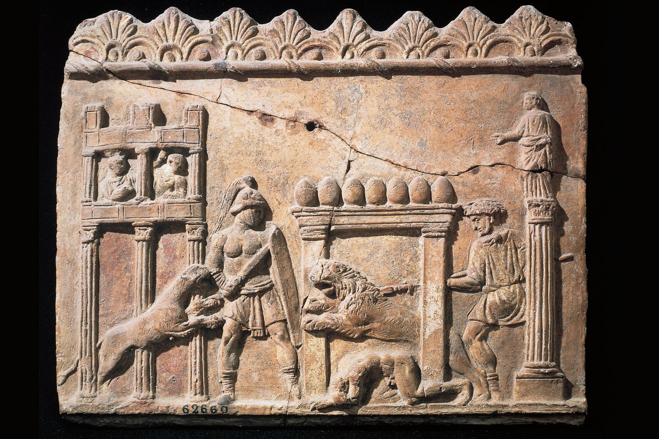 Roman Gladiator Remains Show First Proof of Human-Animal Combat ...
