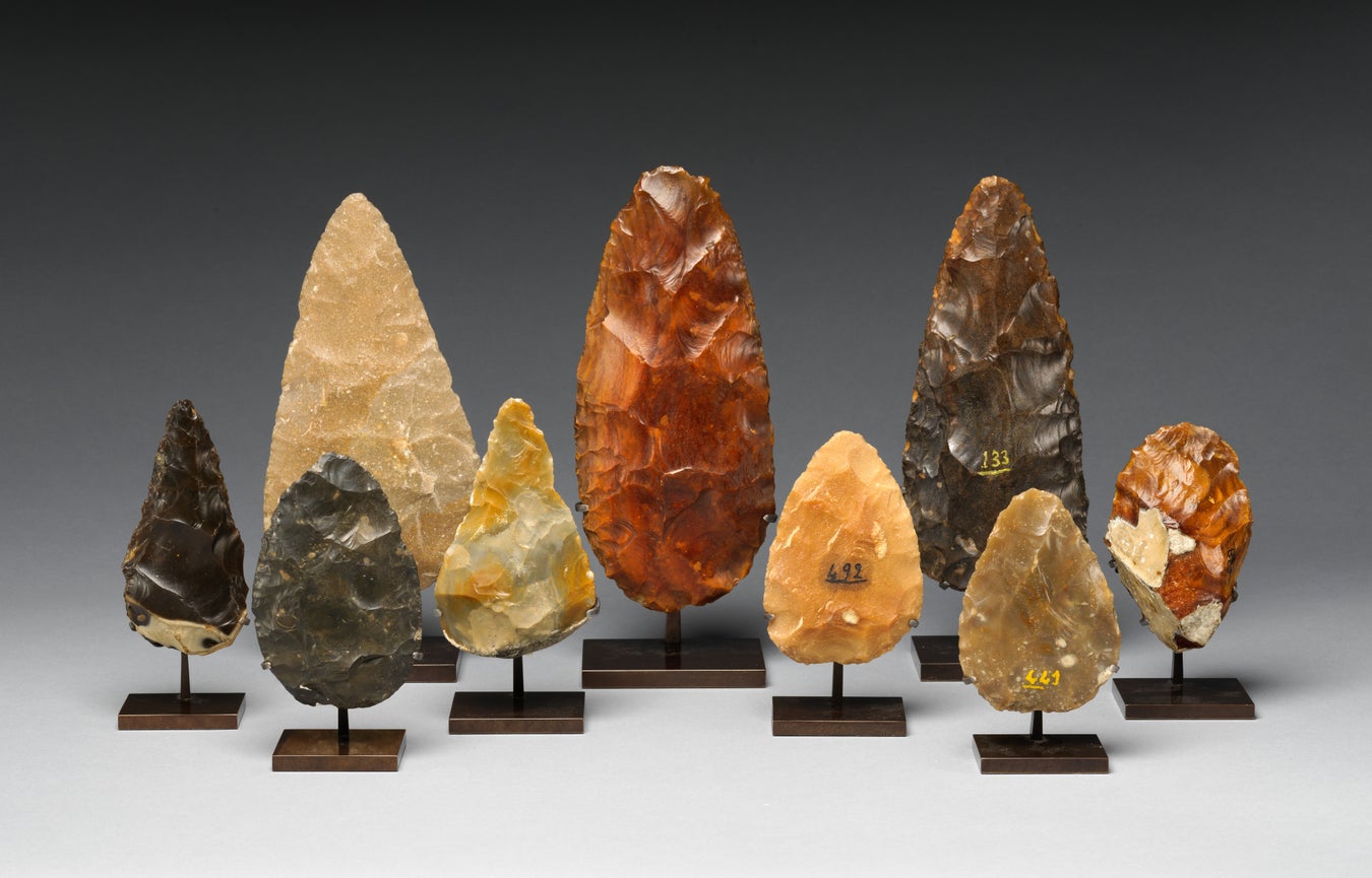 When Did Human Ancestors Start Using Tools? | Scientific American