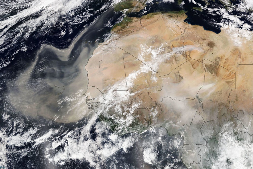 Sahara Dust Clouds Are Heading to Florida and Beyond | Scientific American
